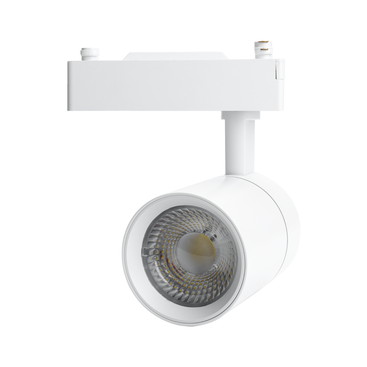 Track & Spotlights – Lightworld Online